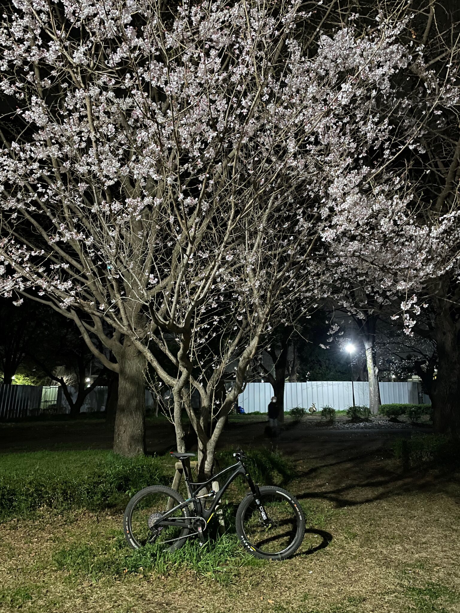 消えた神父、その後：再び、BOACスチュワーデス殺人事件の謎を解く | ICOの秘密