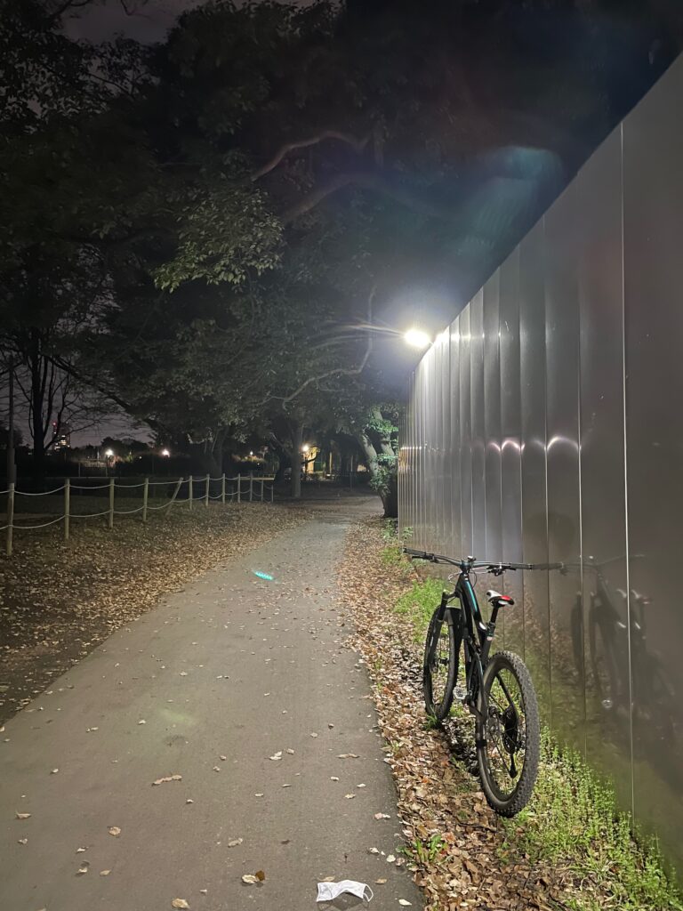 消えた神父、その後：再び、BOACスチュワーデス殺人事件の謎を解く | ICOの秘密