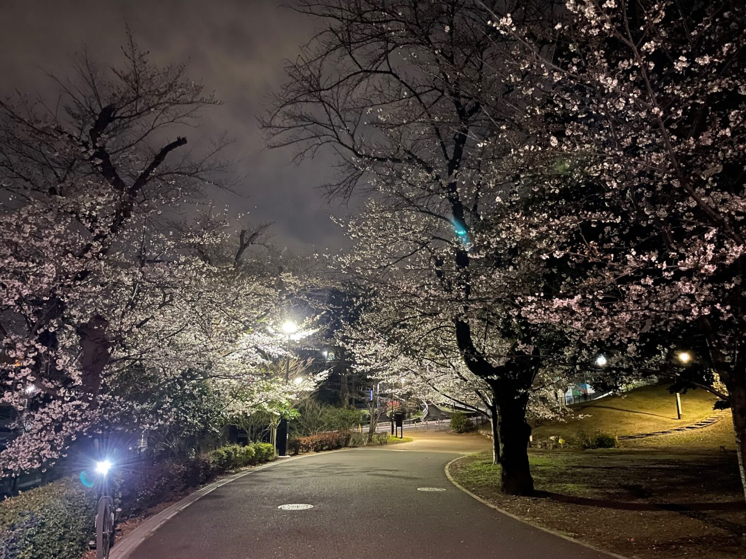 消えた神父、その後：再び、BOACスチュワーデス殺人事件の謎を解く | ICOの秘密