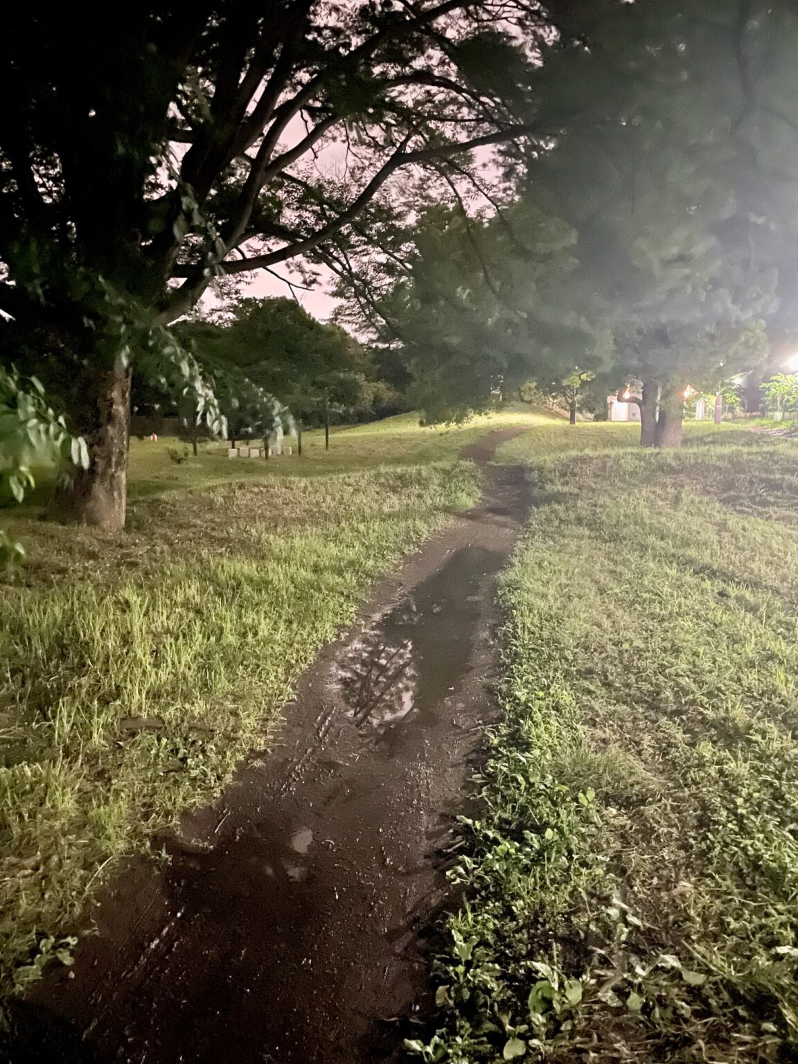 MTB Hopper Lite | ICOの秘密